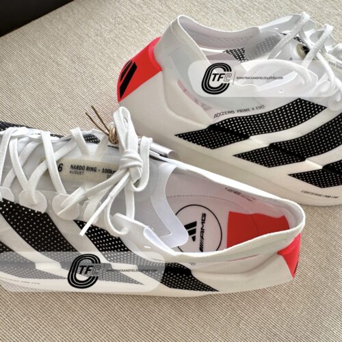 Adidas Adizero Prime X EVO | Trackandfieldclothes